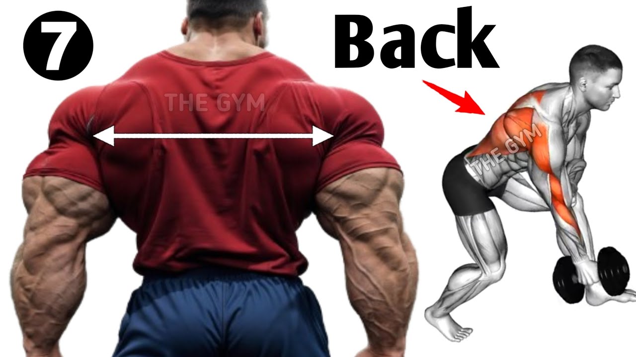 7 Exercises To Big Back Fast - Back Workout - YouTube
