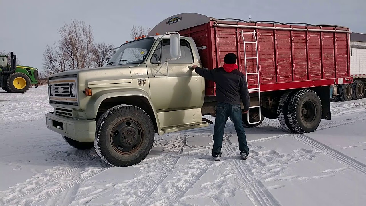 73 Chevy C60 Grain Truck. Farm Retirement Online Only Auction ...