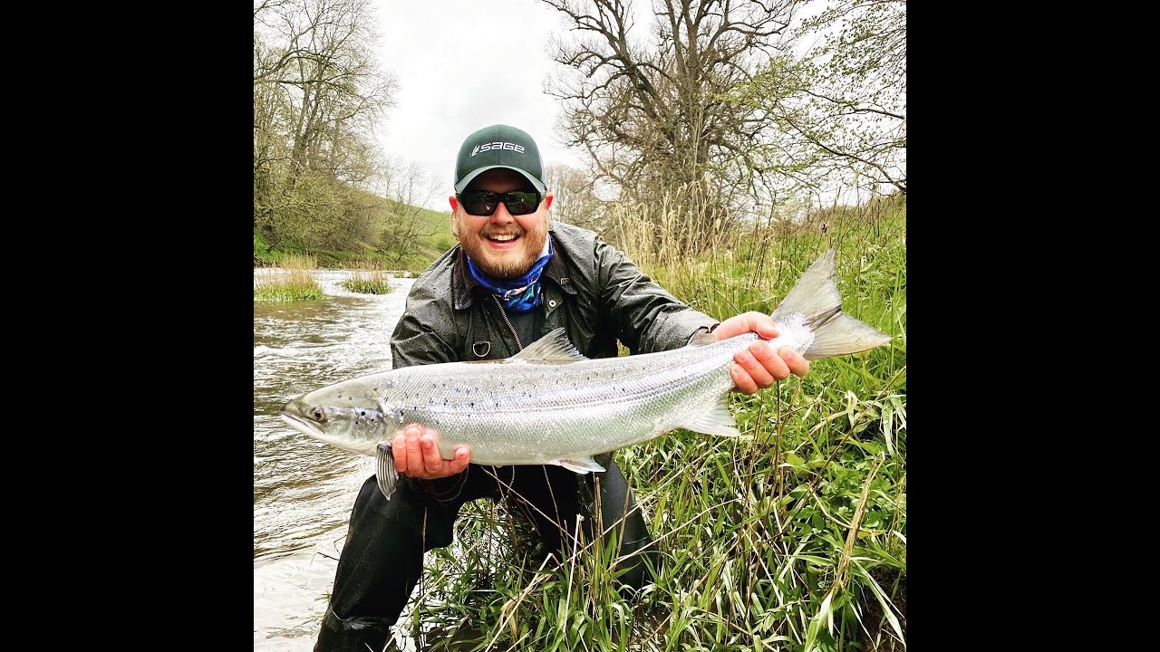 Spring Salmon Fishing - River Whiteadder 8th May 2021 - YouTube
