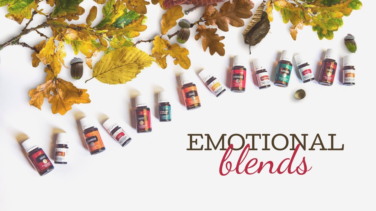 4 emotional support blends - YouTube