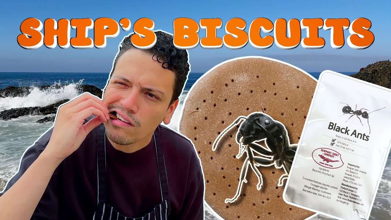 Most Authentic Ship's Biscuits Ever! (Ft. Black Ants) - YouTube