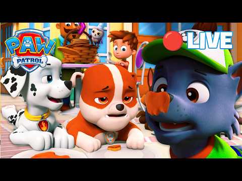 🔴 LIVE | Breakfast Cartoons With the PAW Patrol 🐶 | PAW Patrol