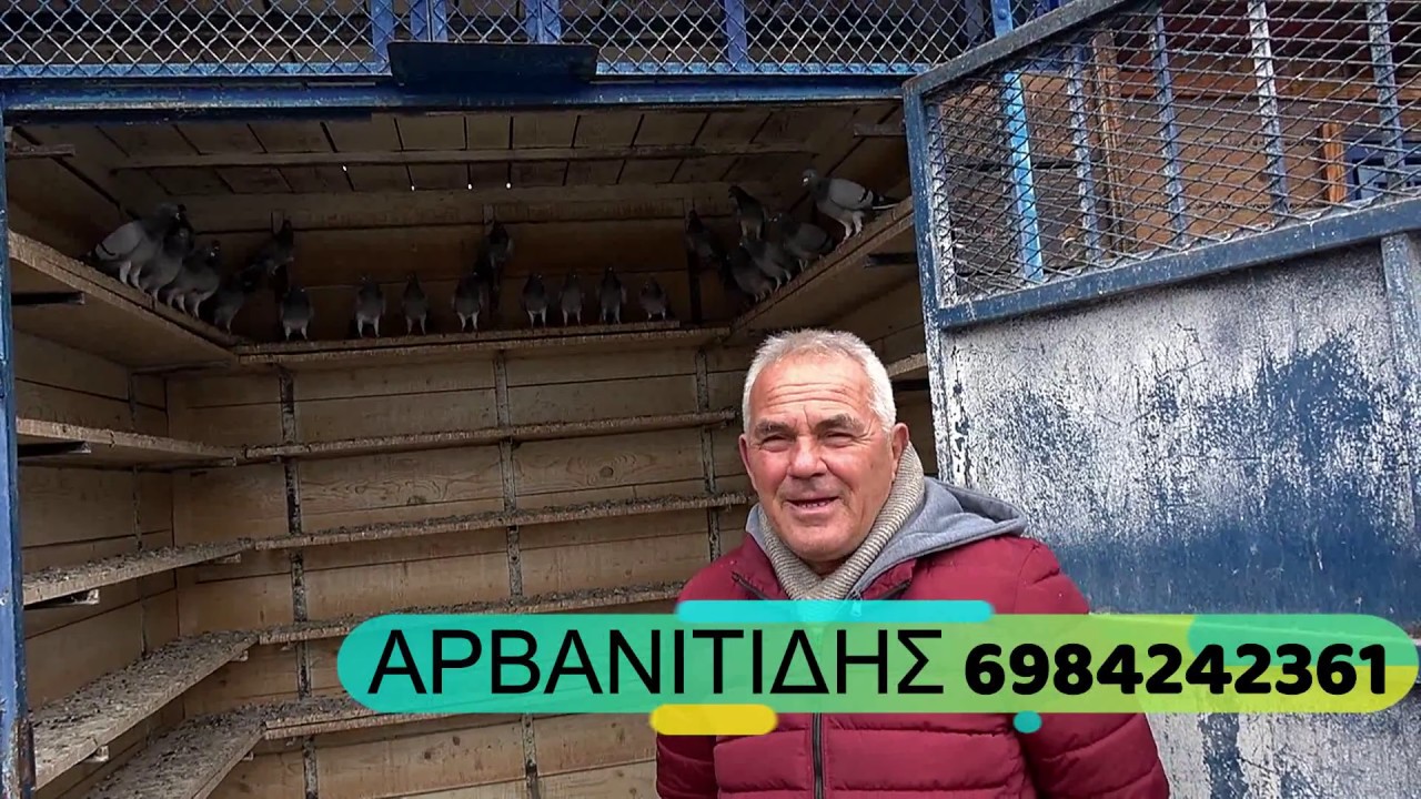 ΠΕΡΙΣΤΕΡΙΑ ΑΡΒΑΝΙΤΙΔΗΣ ΒΕΡΟΙΑ ΤΟΟΟΟΟ ΘΕΑΜΑ !!!! 2018 - YouTube