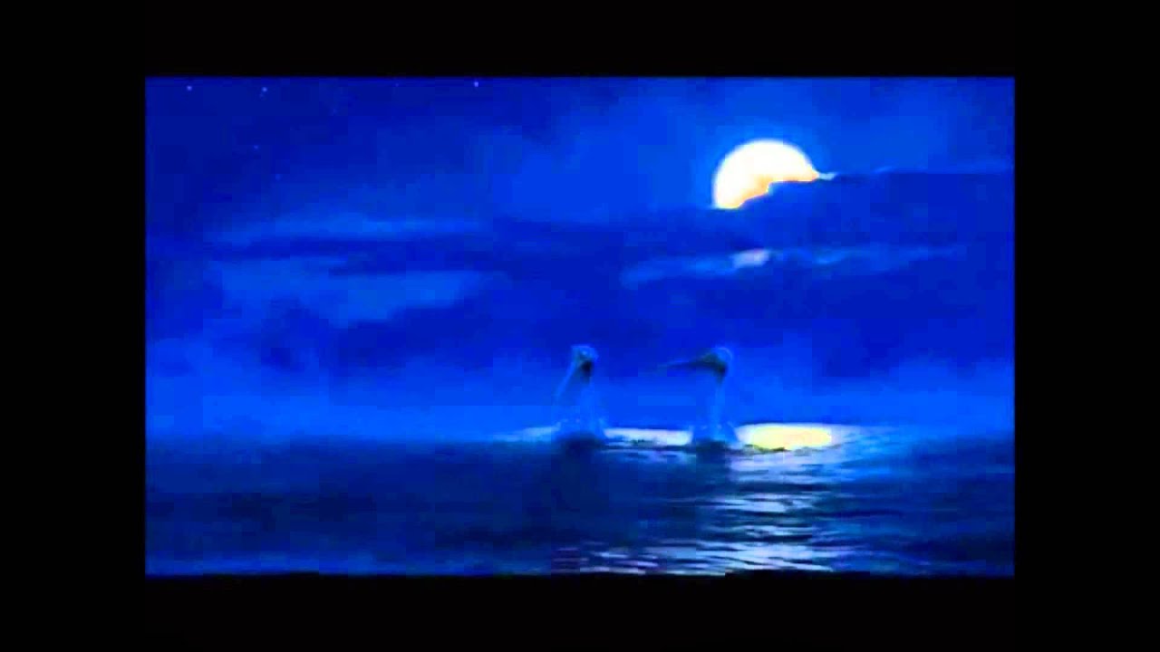 find Nemo (BOP, NICE) - YouTube