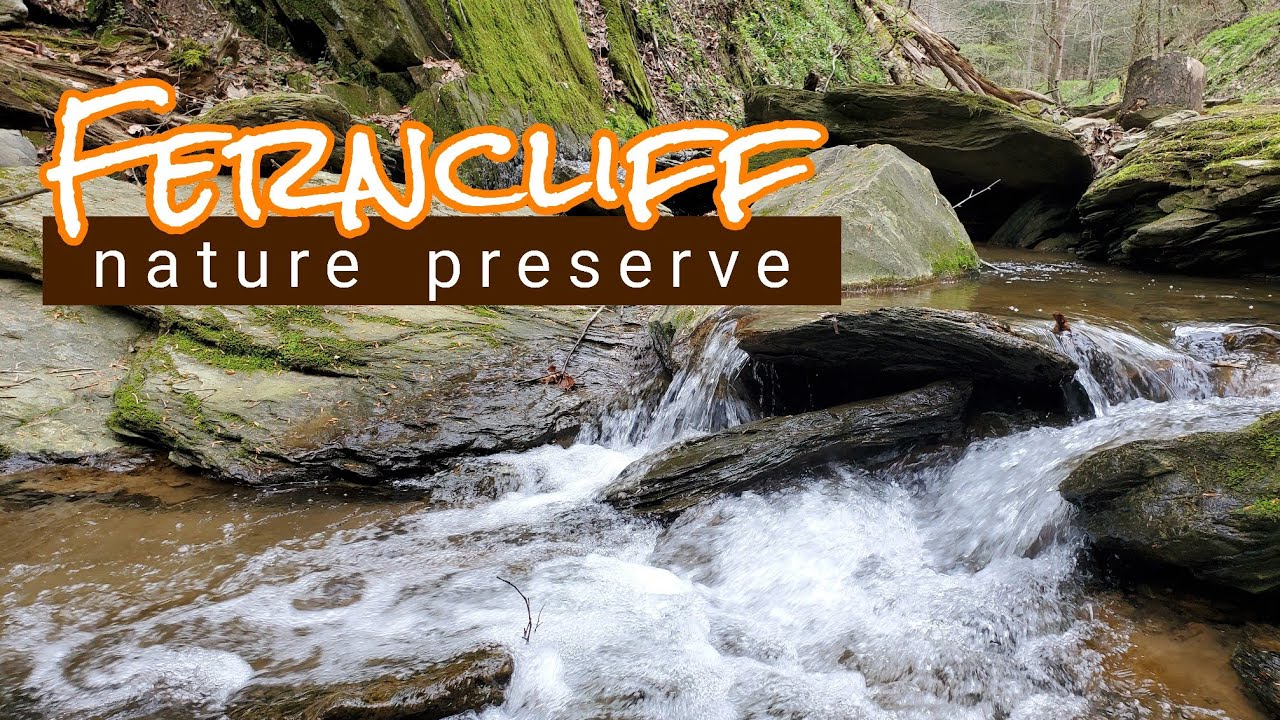 Exploring Ferncliff Nature Preserve - Drumore, PA - YouTube