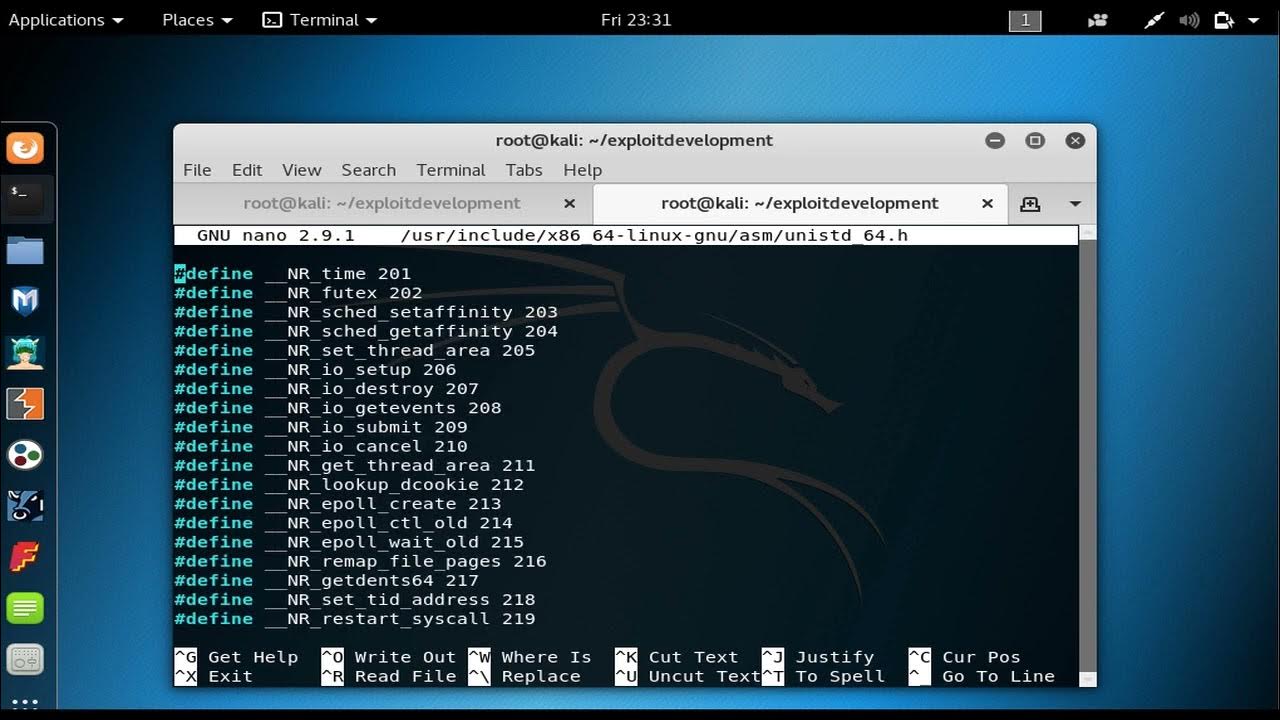 invoking system calls in assembly - YouTube