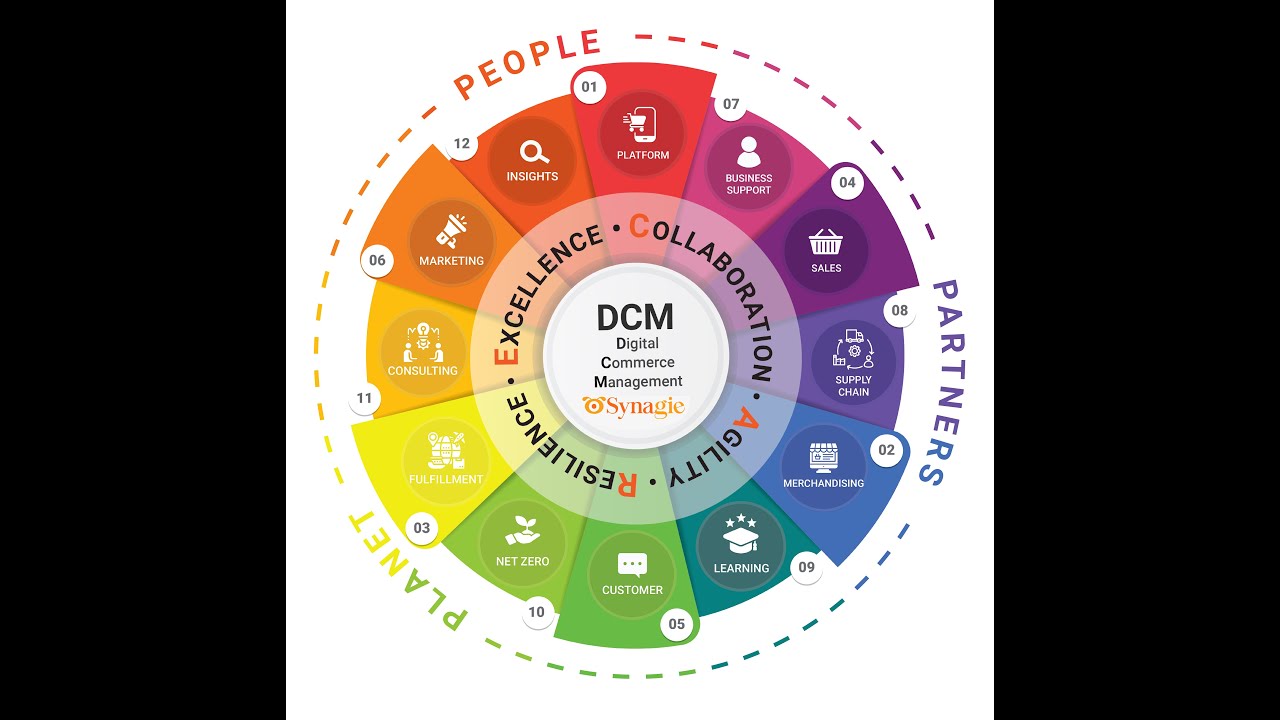 Synagie Digital Commerce Management (DCM) System - Full Video - YouTube