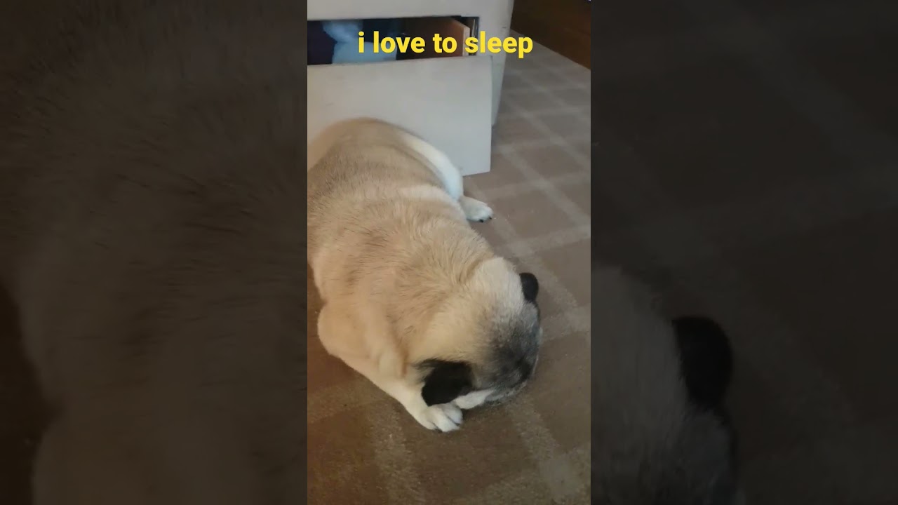 sleep - YouTube