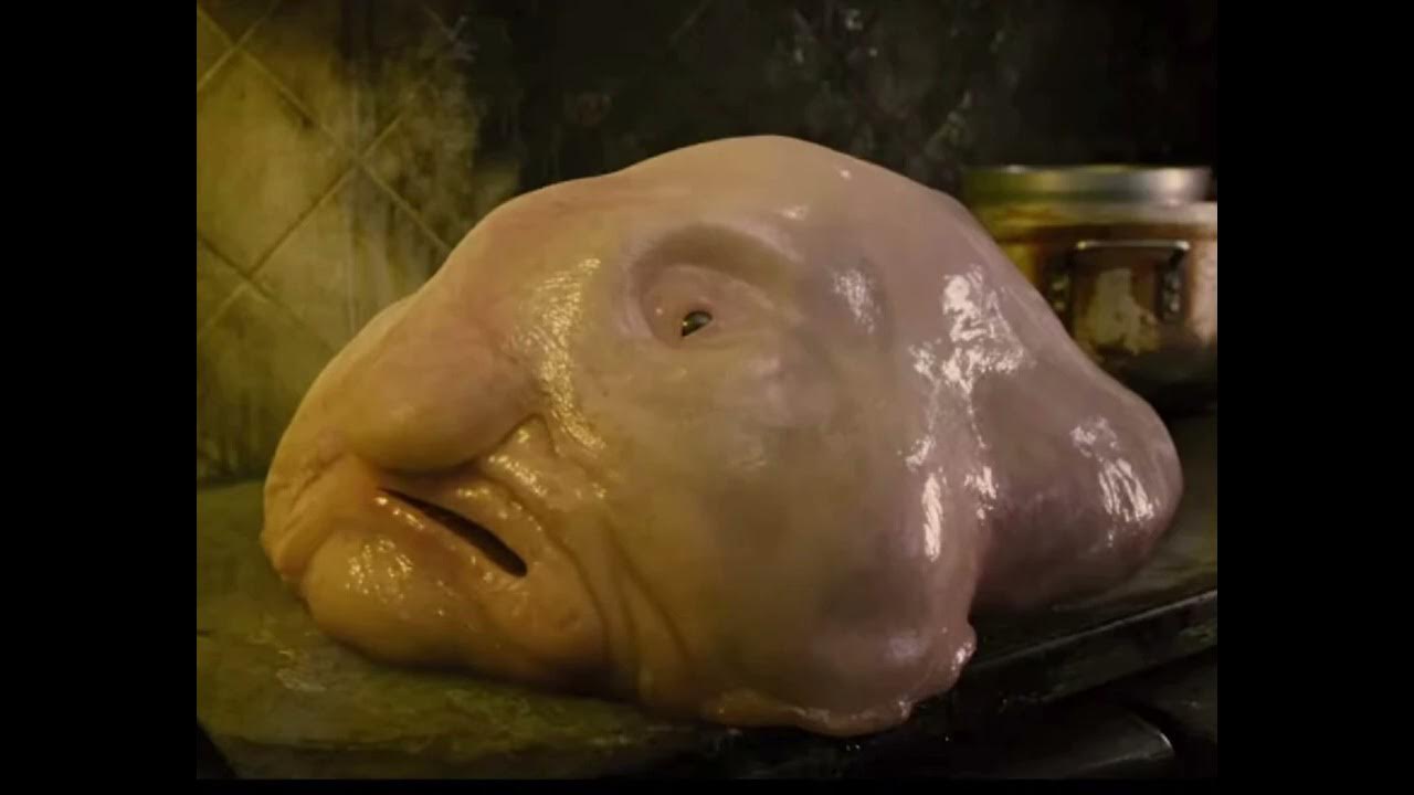 Blobfish Custom Sound Effects - YouTube