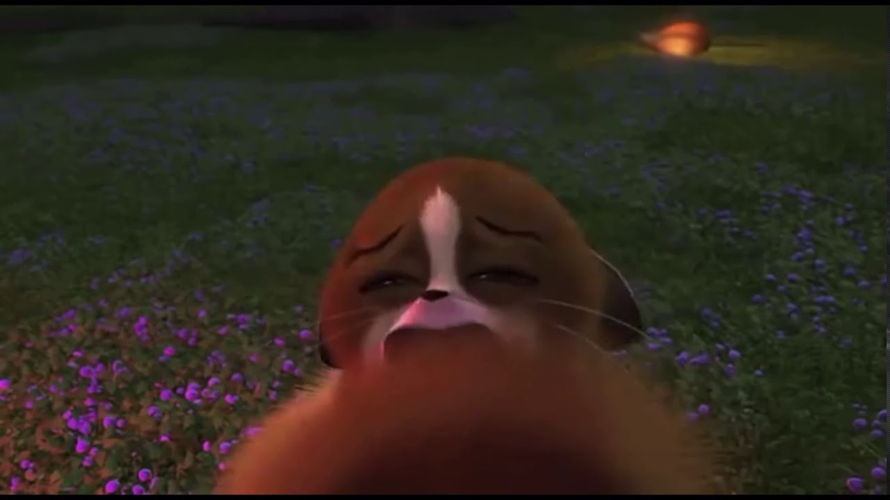 Mort crying lol funny - YouTube