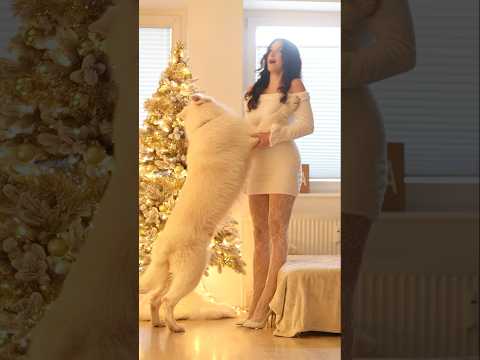 When you’re trying to do cute video with little dog 🐶 Watch till the end 😆#whiteshepherd