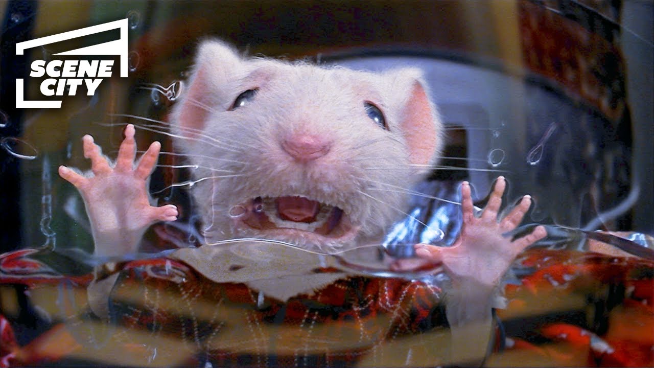 Trapped in the Washing Machine | Stuart Little (Michael J. Fox, Geena ...