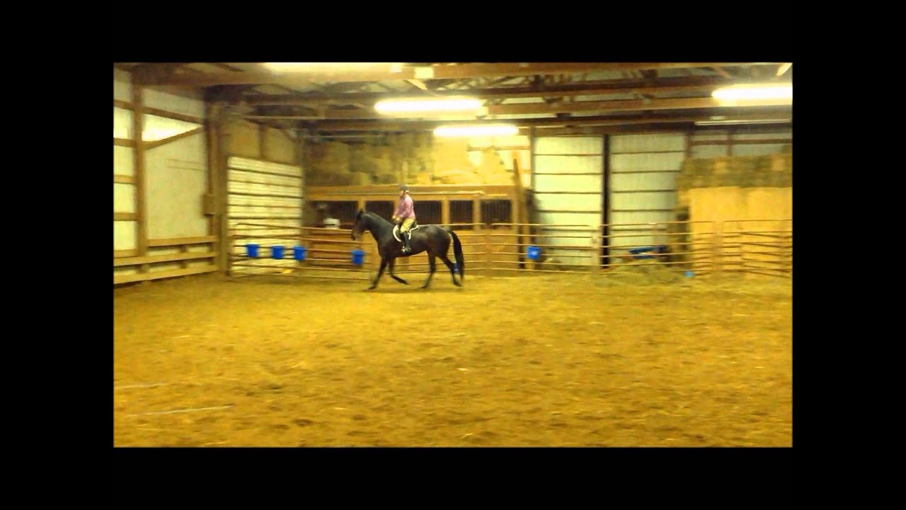 Remley Equestrian Center - YouTube