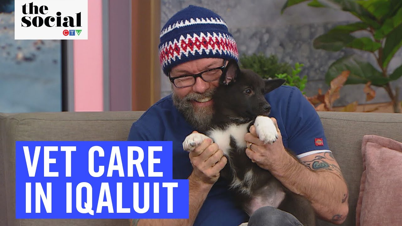 Veterinary Care in Iqaluit with Dr. Cliff Redford | The Social - YouTube