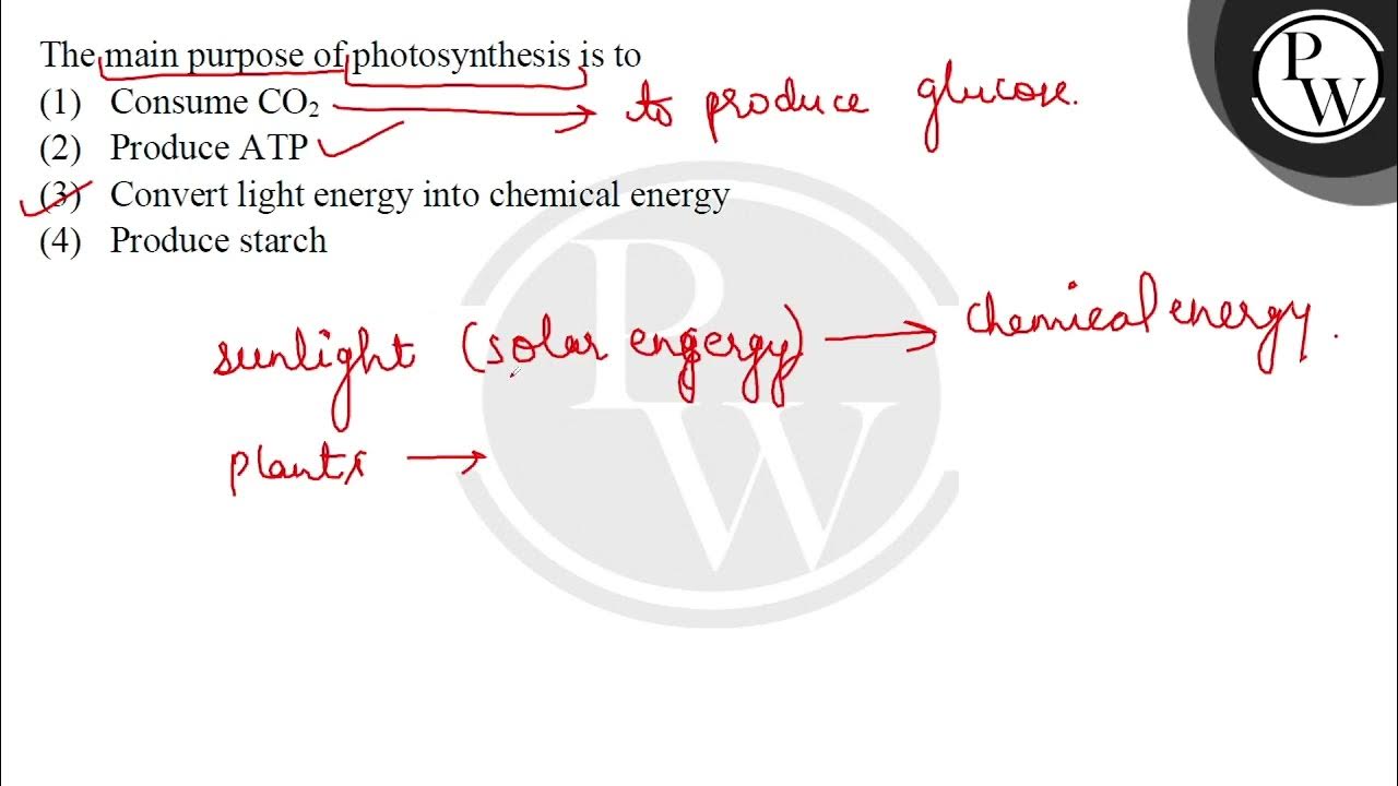 The Main Purpose Of Photosynthesis Is To P 1 Consume mathrm C the-main-purpose-of-photosynthesis-is-to-p-1-consume-mathrm-c