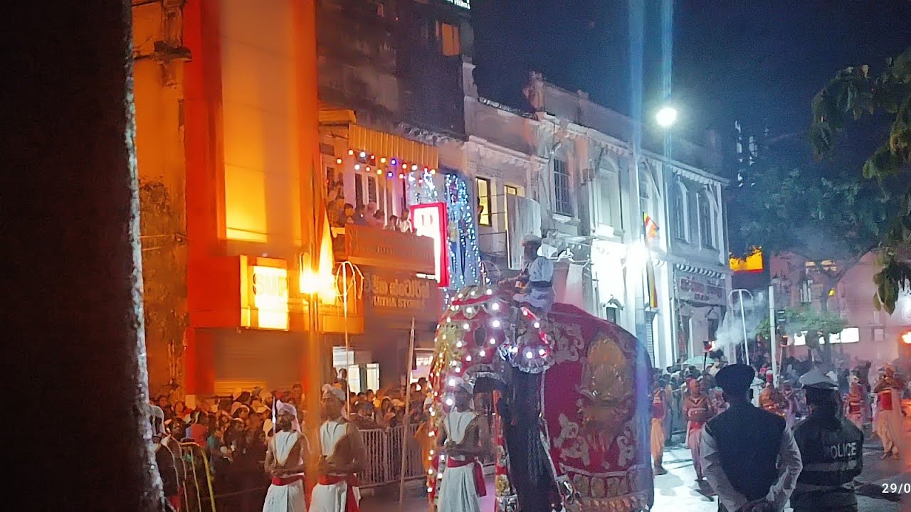 "Dazzling Dalada Perahara Elephant Parade | Sri Lanka's Grand Cultural ...