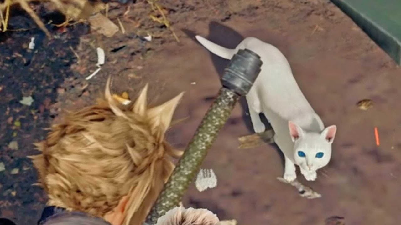 Final Fantasy VII Remake - Sector 7 Slums Cat Locations - YouTube