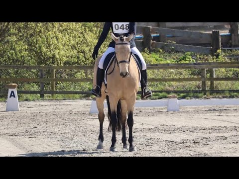 Kinamara Lady Destiny - YouTube