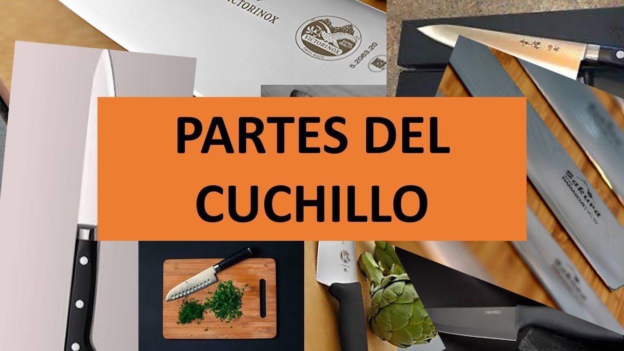 Partes del cuchillo / Escribiendo mi receta / Rodolfo Cortina - YouTube