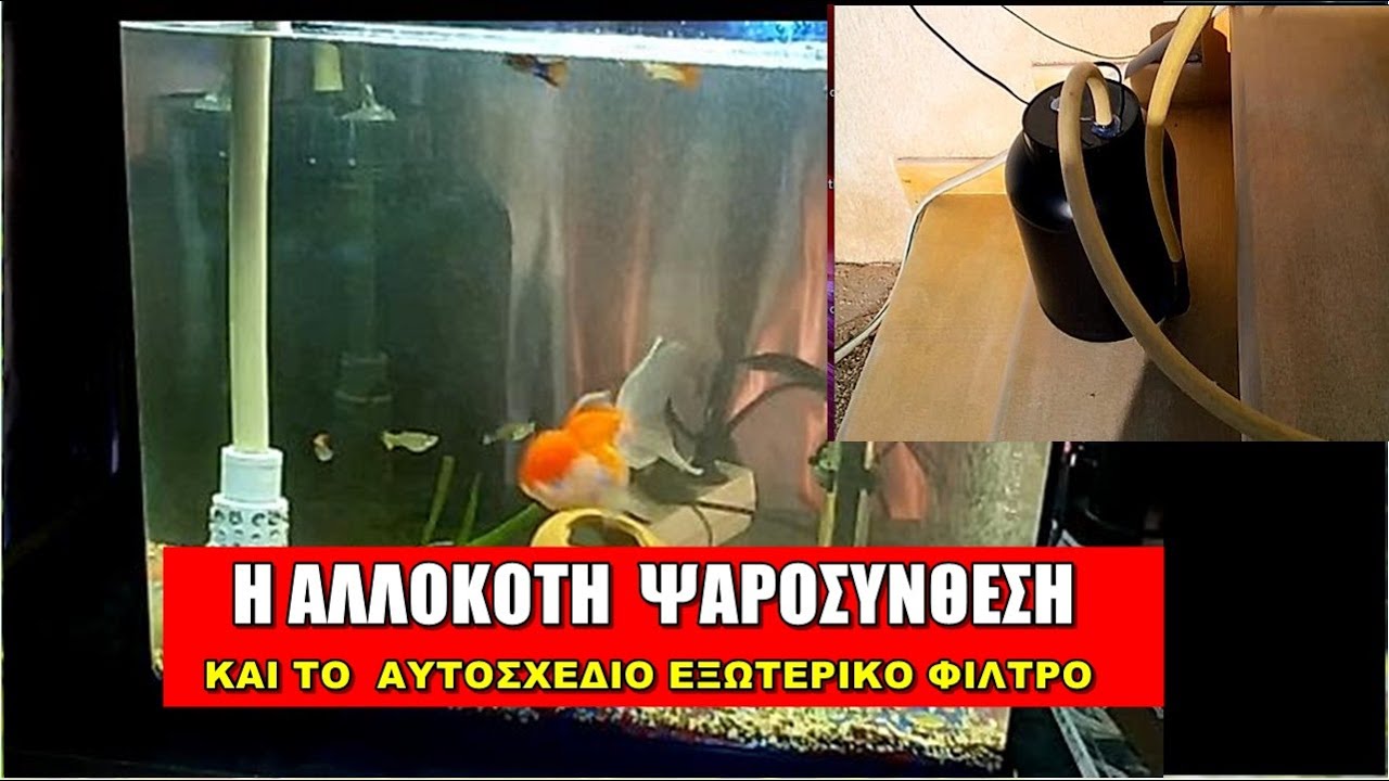 ΤΑ ΠΑΡΑΔΟΞΑ ΤΟΥ ΧΟΜΠΥ ΚΑΙ ΤΟ ΑΥΤΟΣΧΕΔΙΟ ΕΞΩΤΕΡΙΚΟ ΦΙΛΤΡΟ!!! Η ΑΛΛΟΚΟΤΗ ...