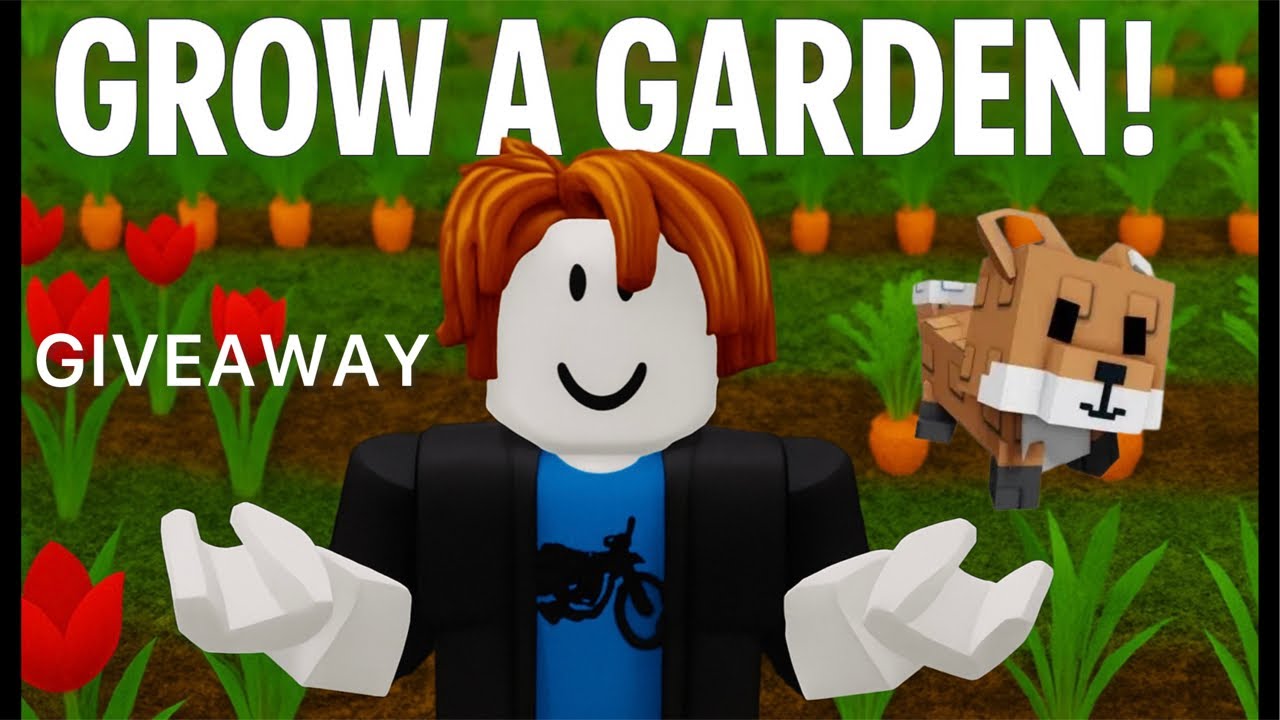 Red Fox and Queen Bee giveaway - YouTube