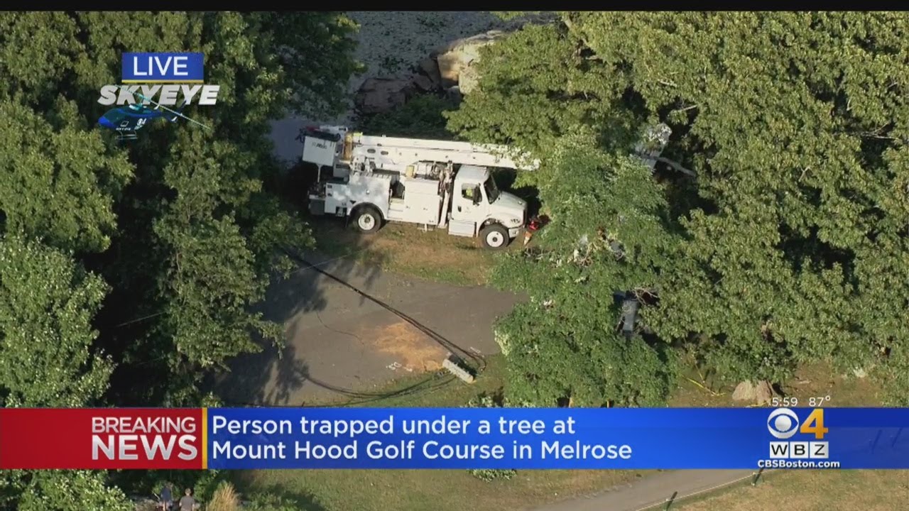 Person Trapped Under Tree At Melrose Golf Course - YouTube