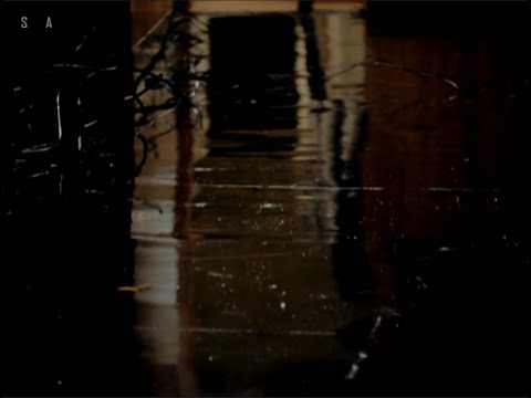 Interpol - Evil (Re-edit & Alternative Music Video by SonicAdapter ...