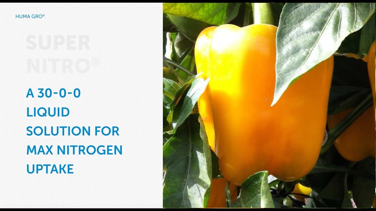 Huma Gro Super Nitro: Macronutrient Product - YouTube
