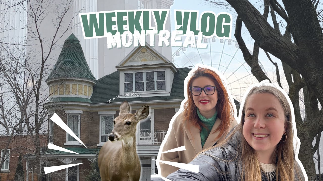 🇨🇦 On visite Pointe aux trembles & un parc naturel à Montréal !|PVT ...