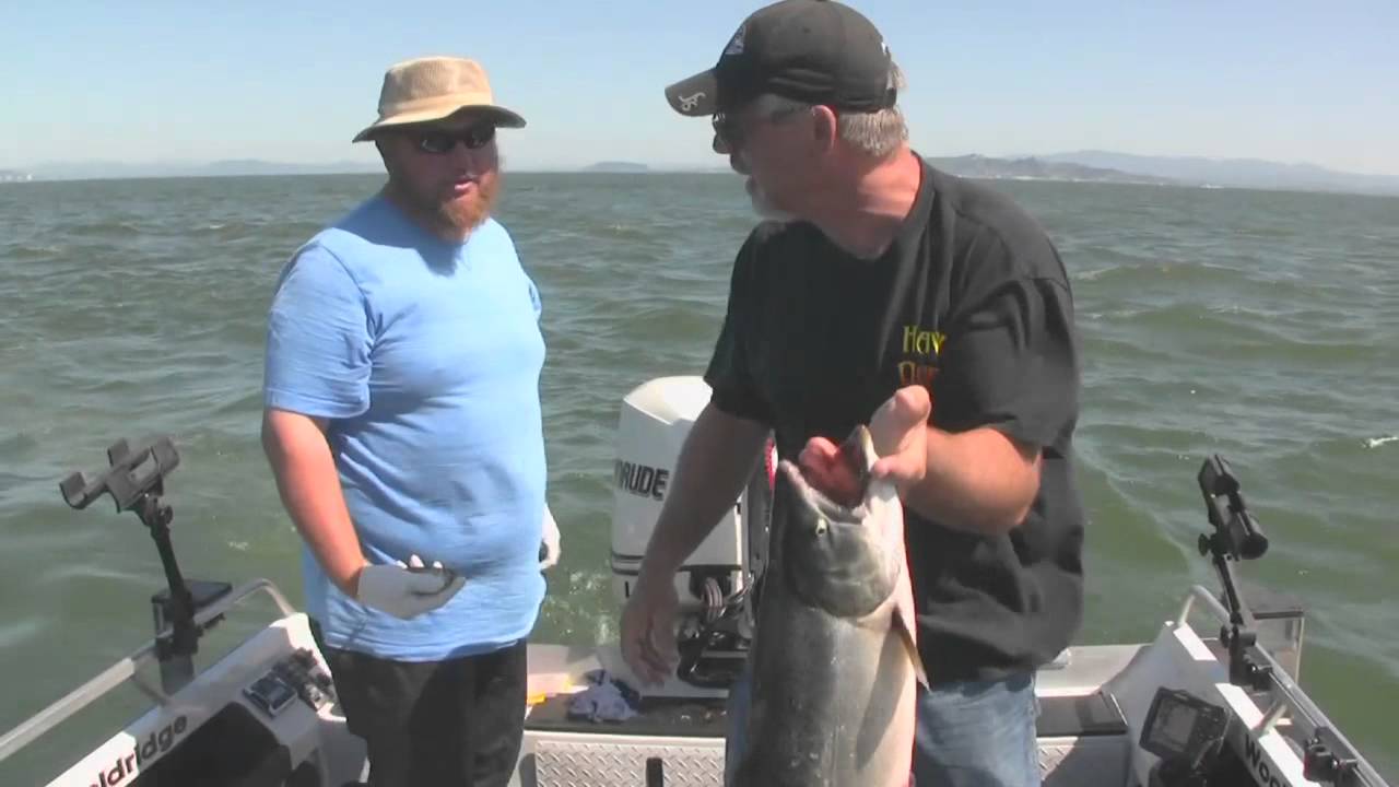 Hawg Quest presents Hook-Up Higgins - YouTube