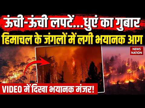 Himachal Pradesh के Solan में Kasauli के जंगलों में लगी भीषण आग | Uttarakhand Fire News | Breaking