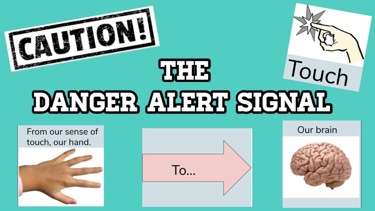 The Danger Alert Signal! - YouTube