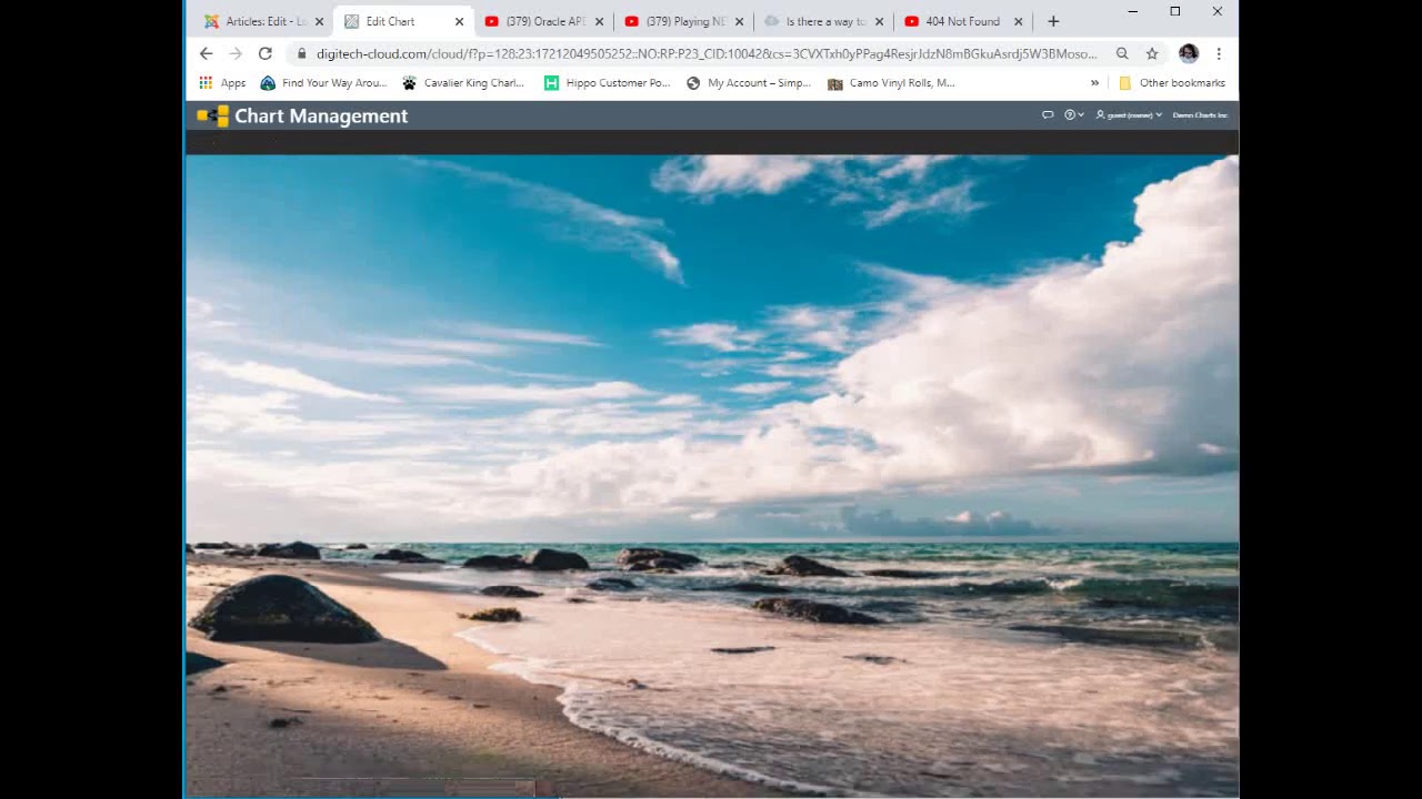 Custom Charts in Oracle APEX - YouTube