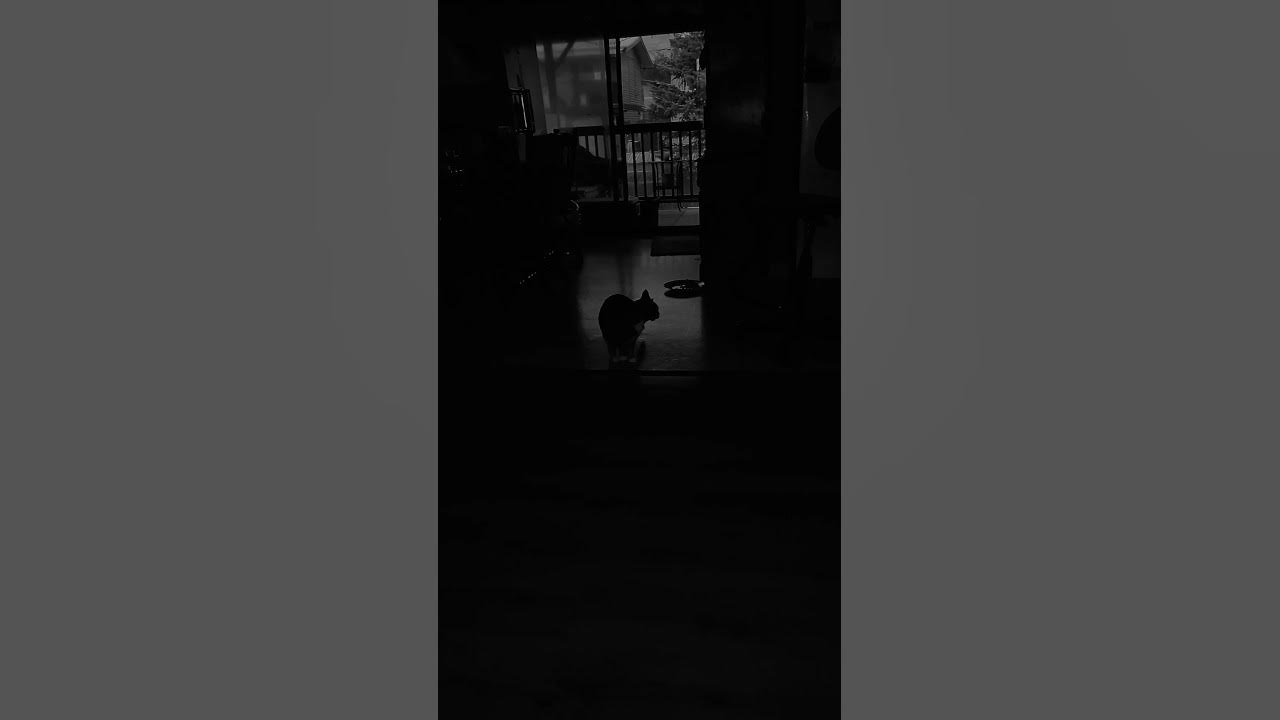 Scared Youtube