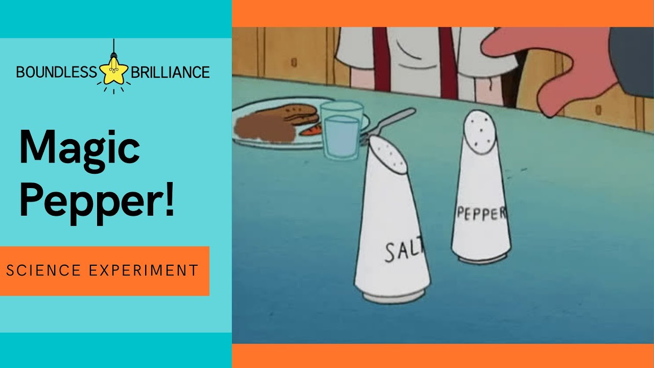 Magic Pepper | Simple and Fun DIY Science Demonstration - YouTube