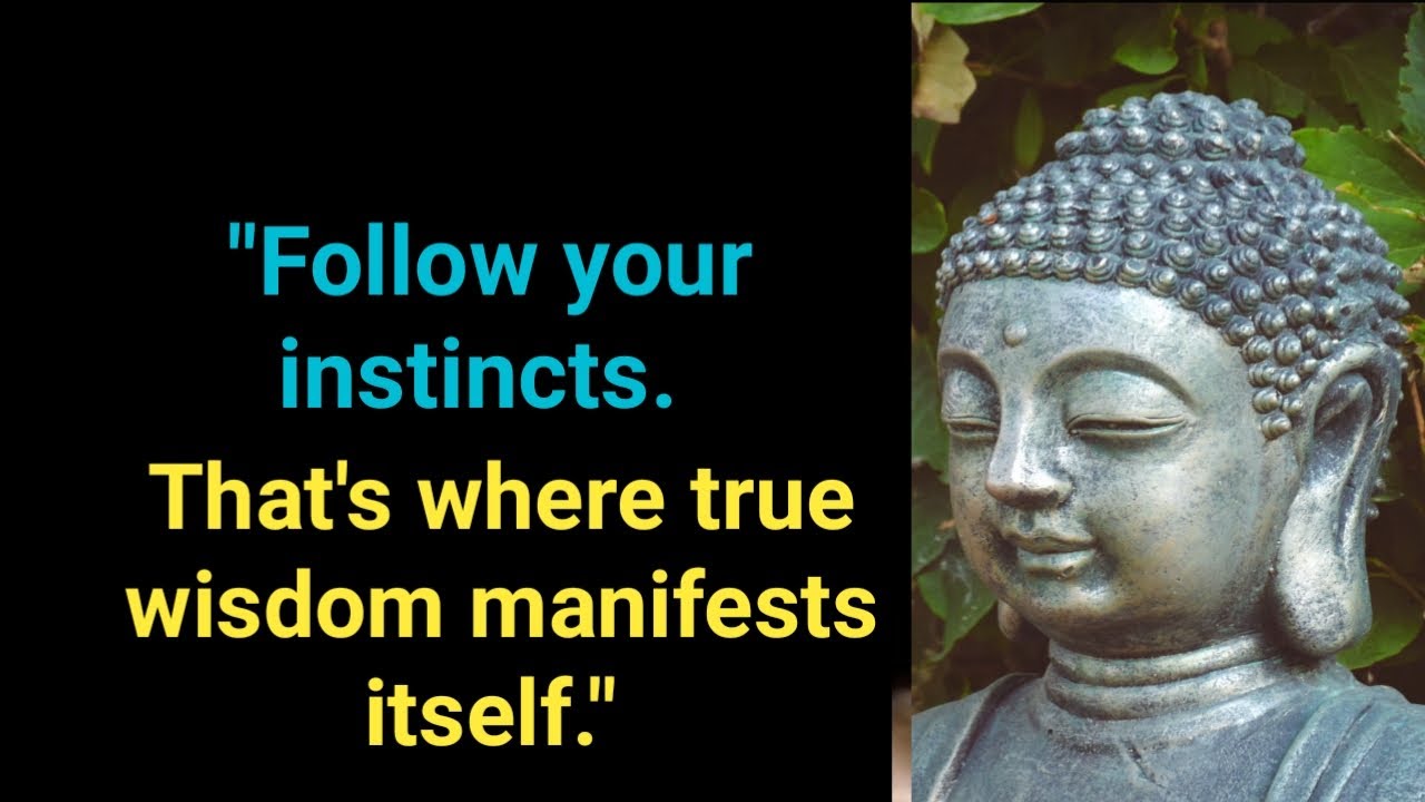 Follow Your Instincts. Motivational Wisdom Quotes On Positive Thinking ...