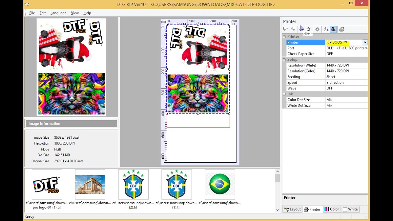 DTGPRO AcroRip 10 and 11 explained DTF rip software - YouTube