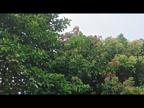 Good evening september 30 - YouTube
