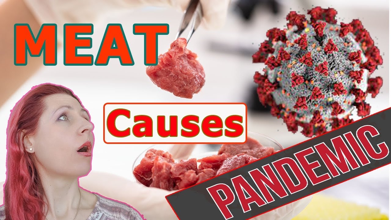 How Meat Causes Pandemics! 😱 - YouTube
