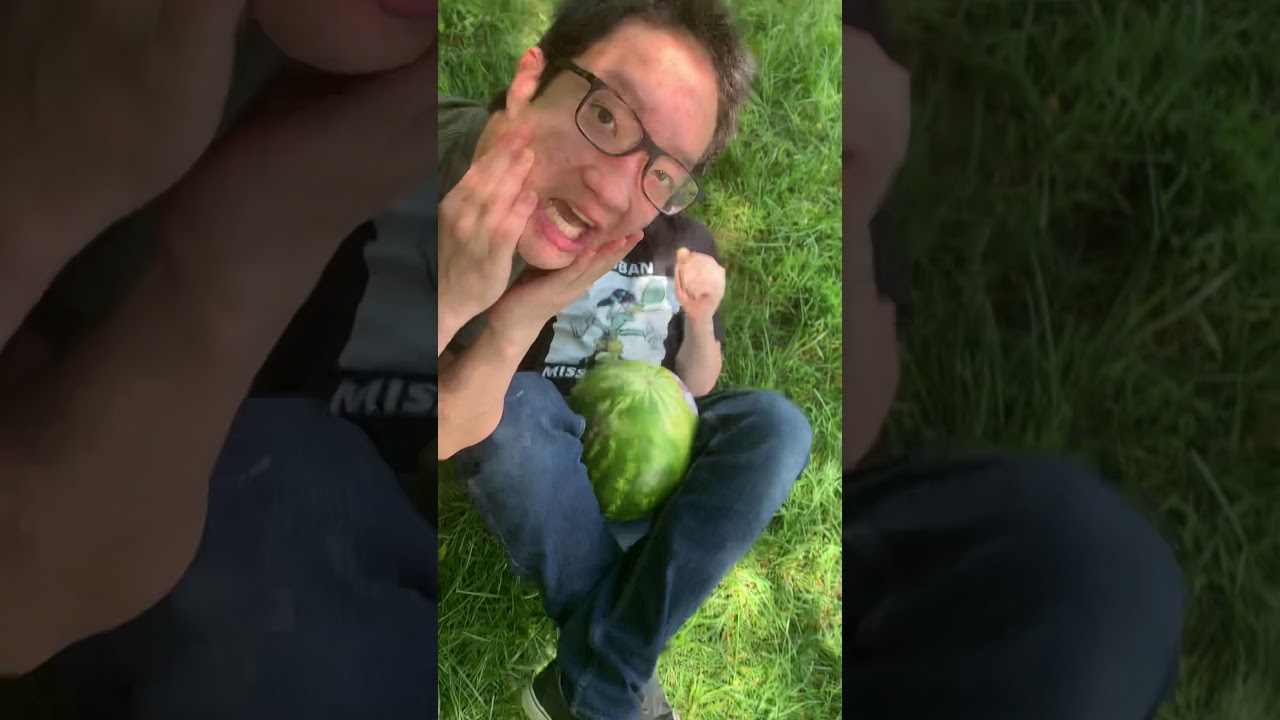 This is your brain on watermelon - YouTube