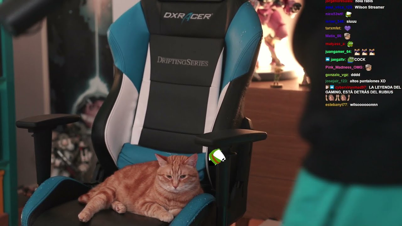 el Mejor Streamer...🥰🤭 - YouTube