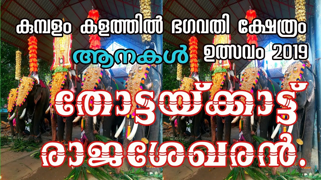 Thottakkad Rajasekharan in Kumbalam Kalathil temple - YouTube