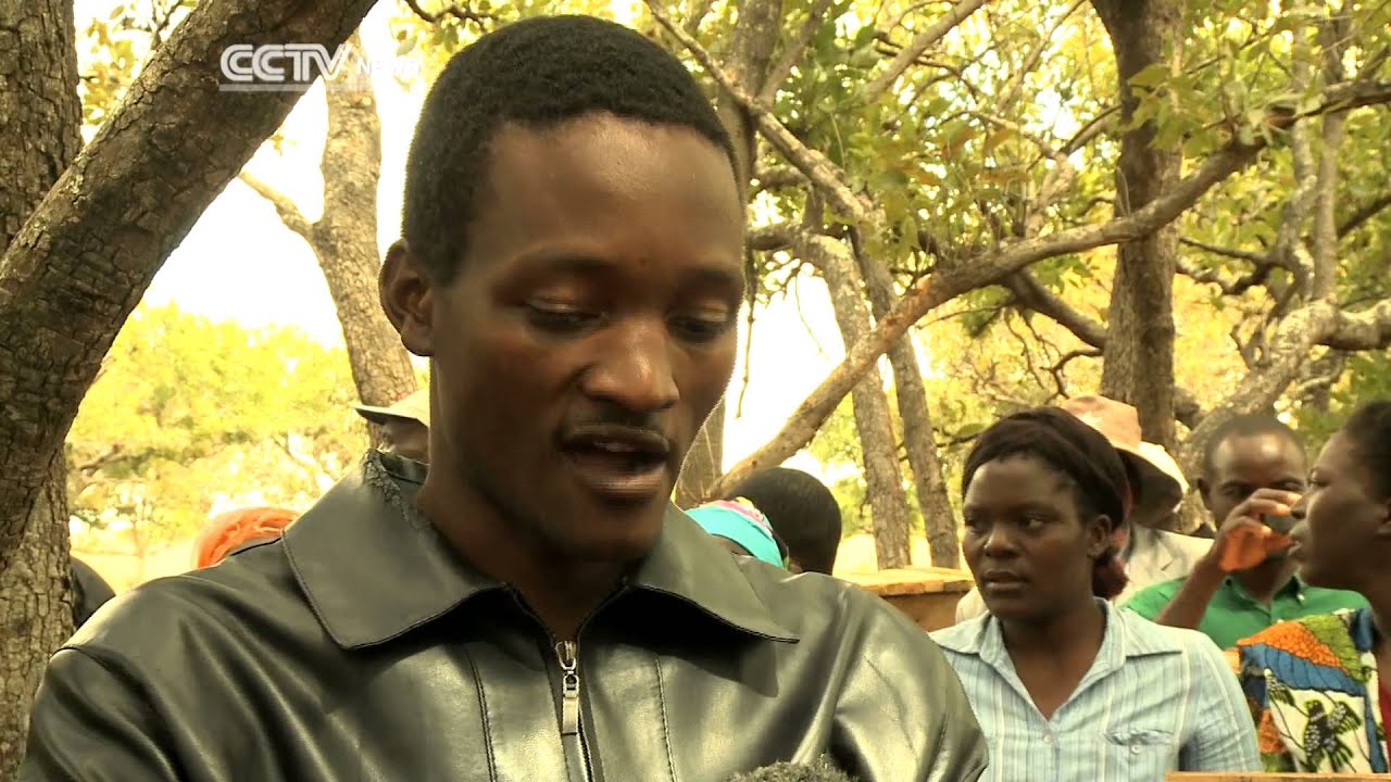 Zimbabwe Bee Keeping - YouTube