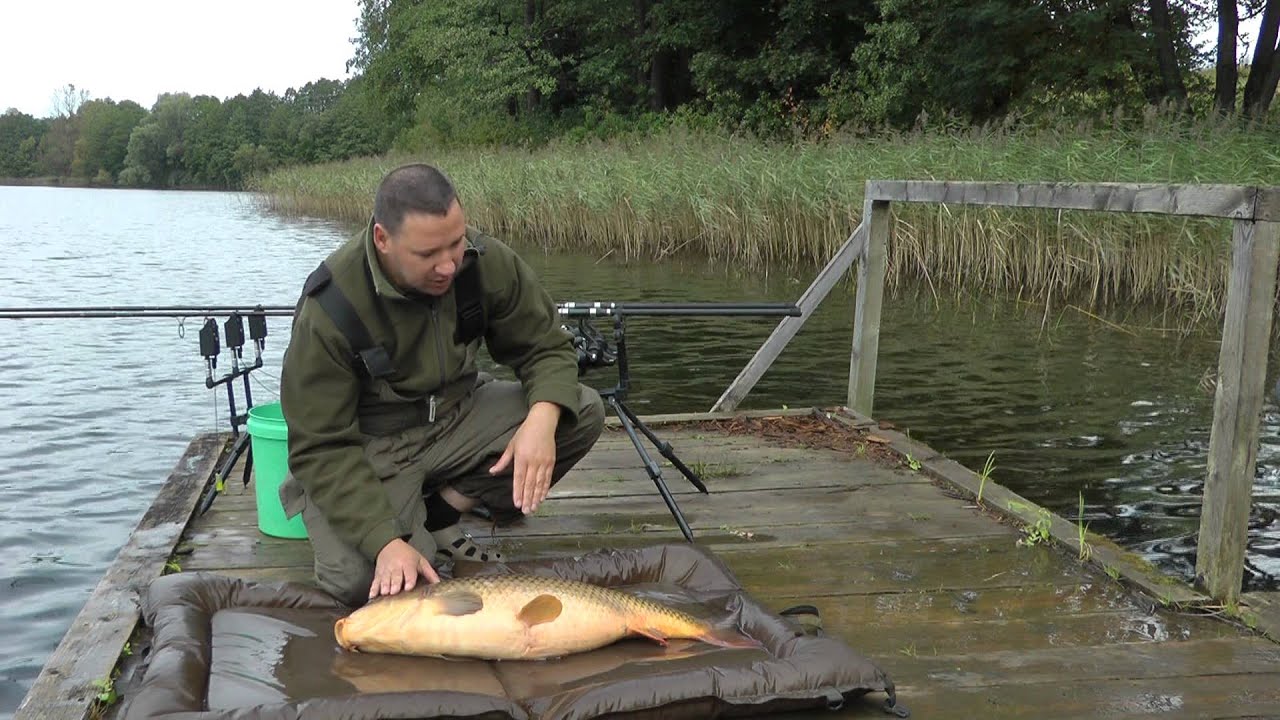 Karpių žūklės ABC 2 - YouTube