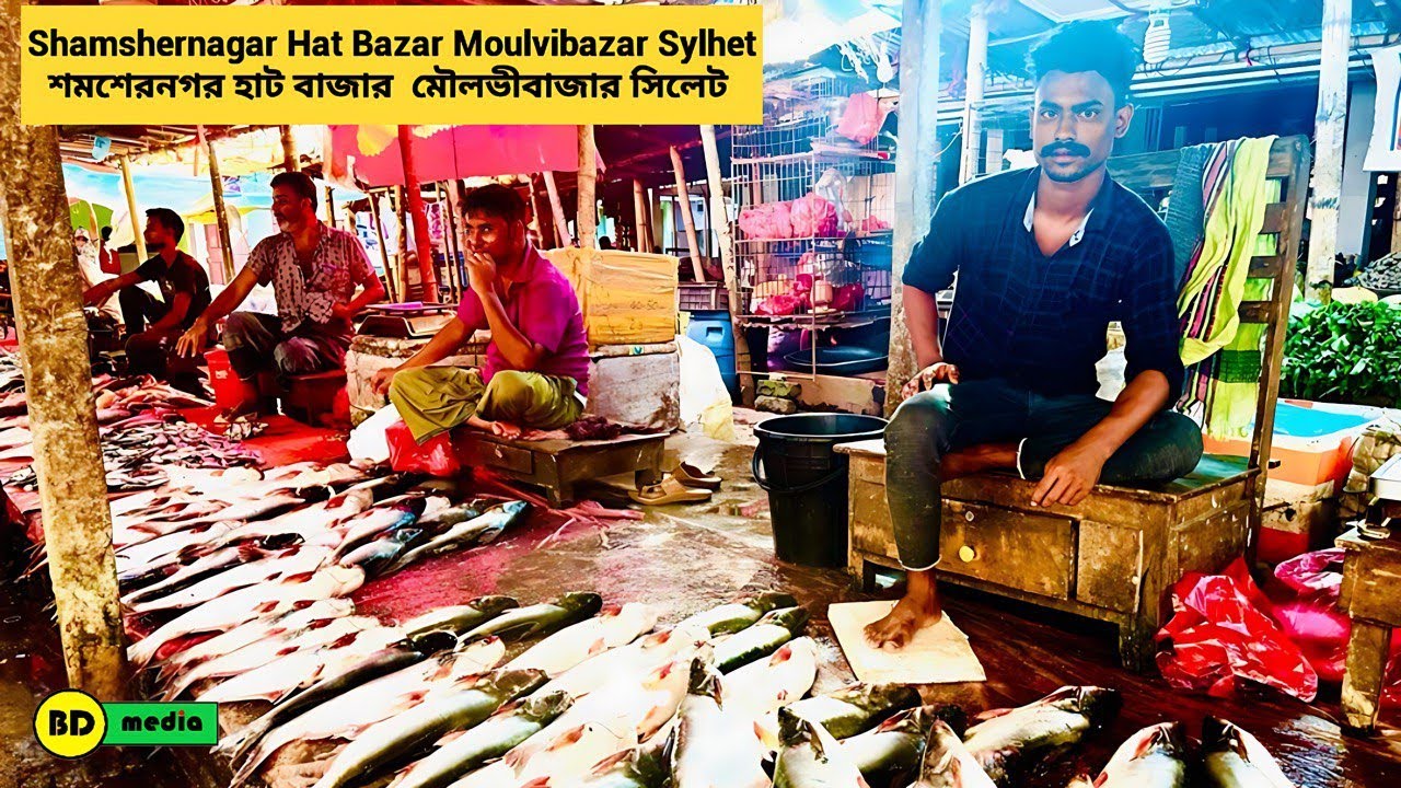 Shamshernagar Hut Bazar Moulvibazar - Sylhet শমশেরনগর হাট বাজার ...