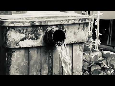 Dans Les Profondeurs- Satin Wall