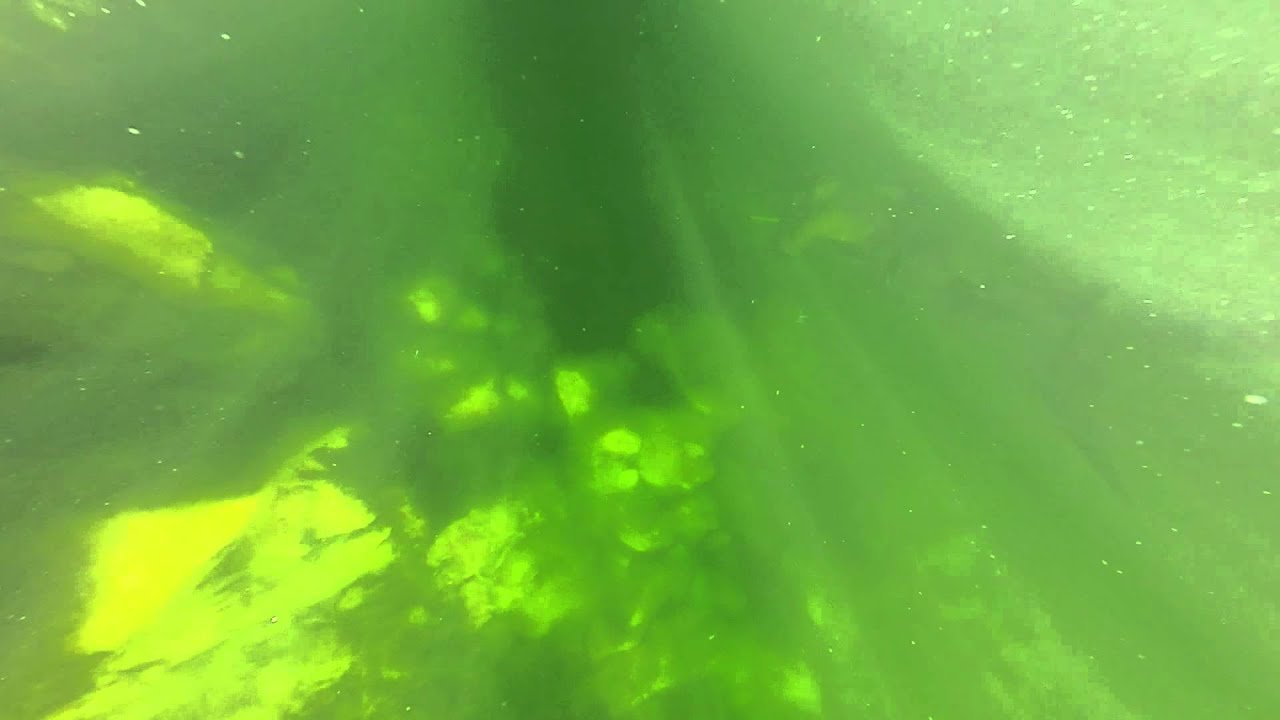 Spearfishing Walleye In Utah - YouTube
