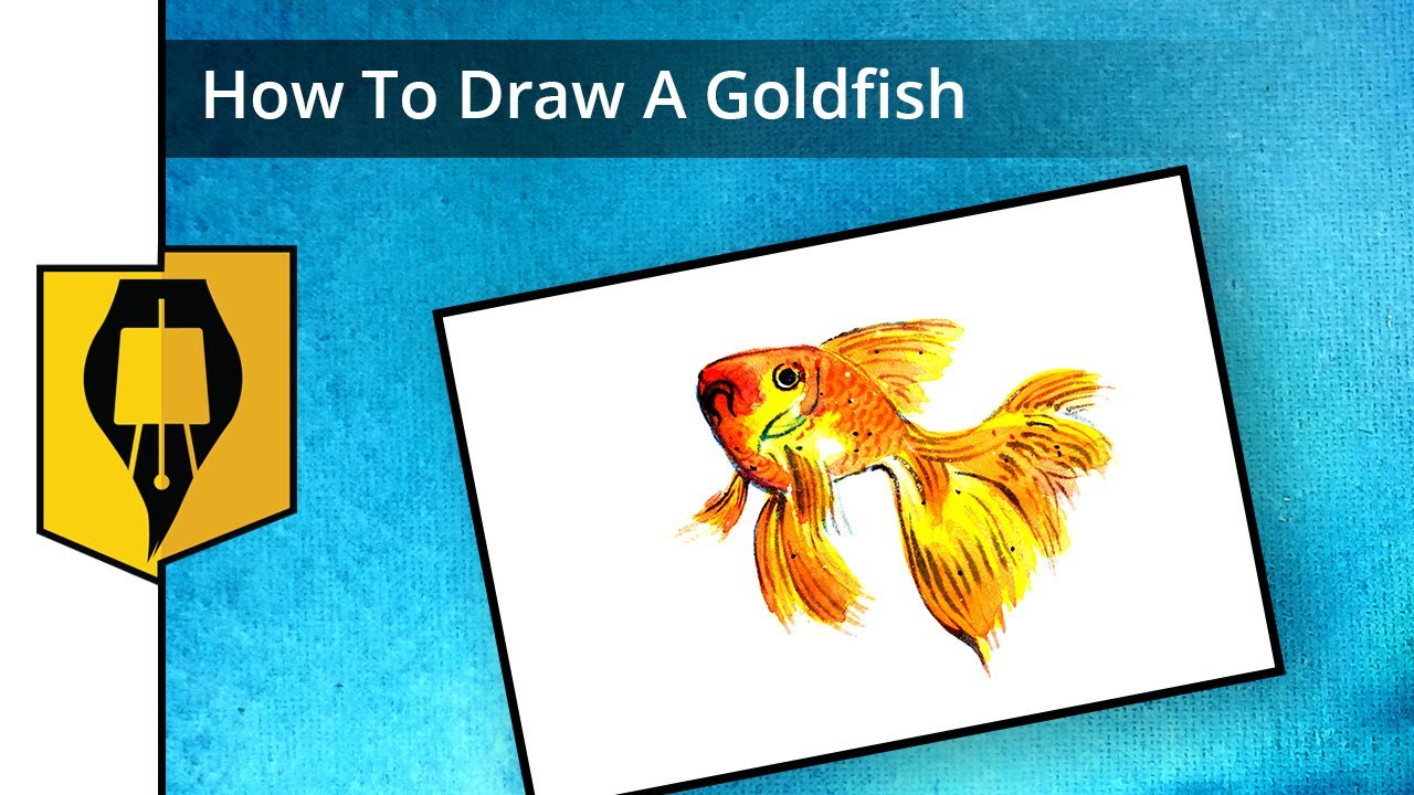 how to draw gold fish with watercolor - YouTube