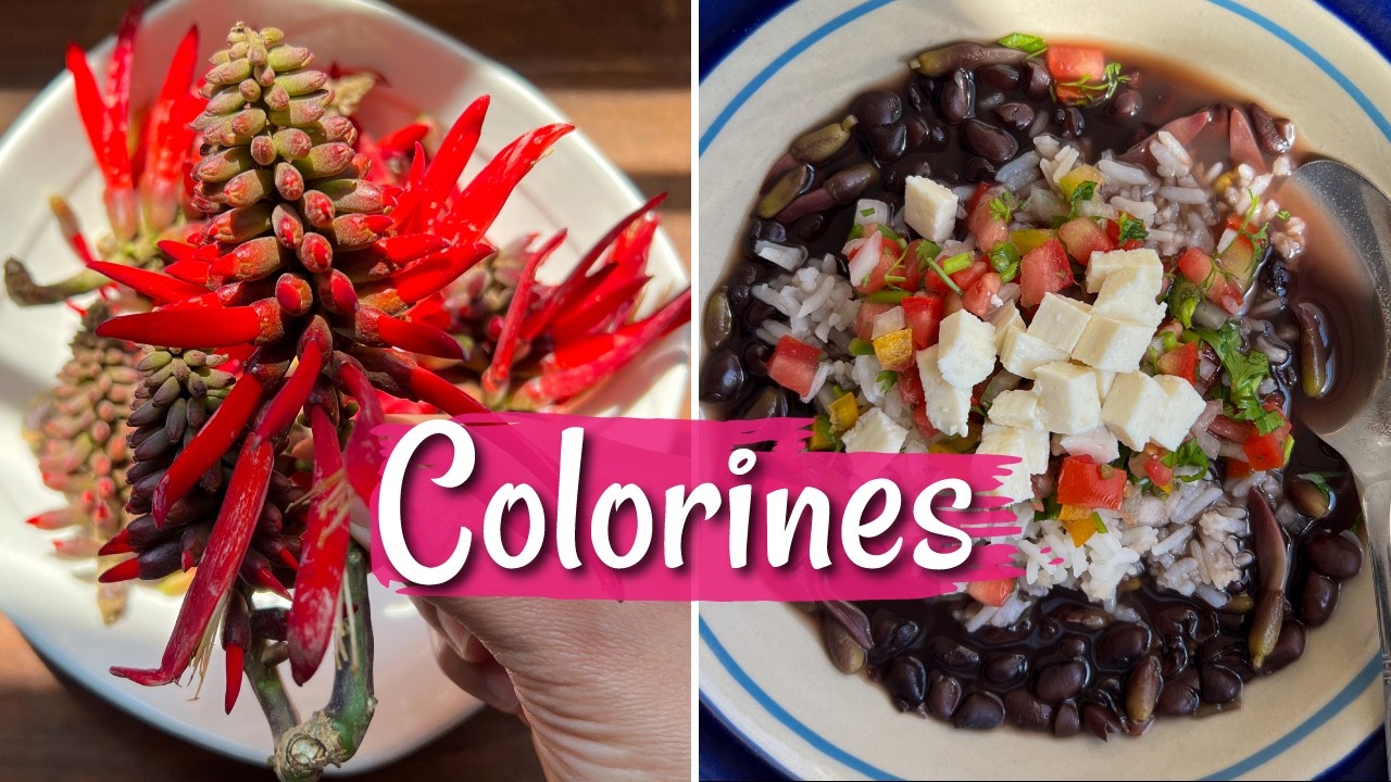 Frijol caldoso con flores comestibles que debes probar. 🌶️🌸🍛 | La ...