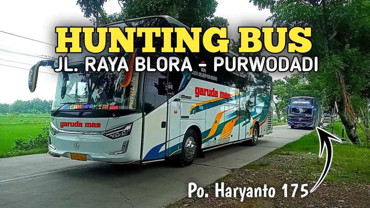 Terpantau Po Haryanto 175 - Hunting bus di Jalur Blora Purwodadi - YouTube
